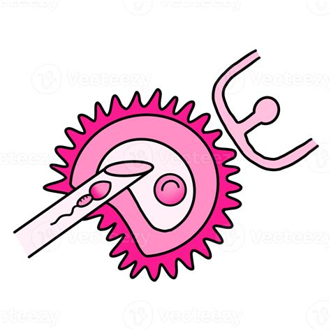 In Vitro Fertilization 11947374 Png