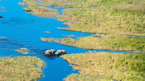 Home · Hideaways Camelthorn Bush Camp