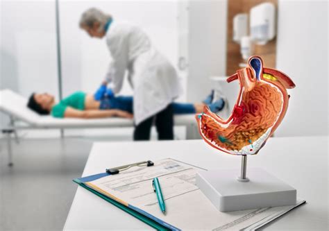 El Futuro Para El Tratamiento Del Cáncer Estaría En ¿las Bacterias
