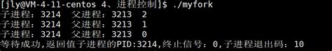 【linux】进程创建终止等待替换linux Status 234 Csdn博客