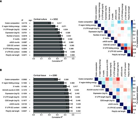Linear Models Quantifying Correlates Of Translation In Cultured Neurons Download Scientific