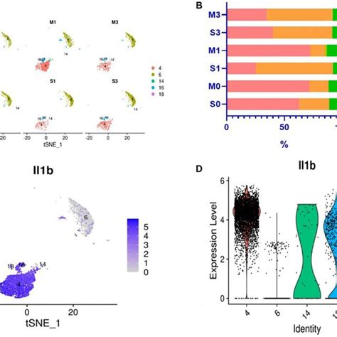 Tsne Map Of Mouse Peripheral Blood Neutrophils Single Cell Sequencing