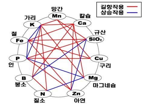 각종 비료 성분의 작용 과 비료의 길항작용상승작용 네이버 블로그