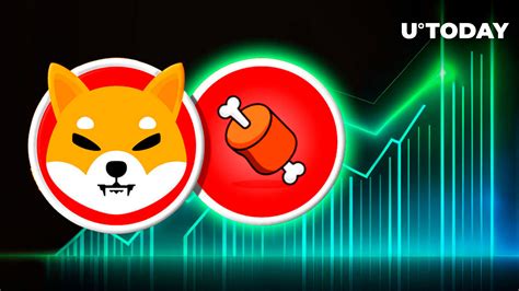 Shiba Inu Bone Surprises With 50 Gain In Millionaire Addresses