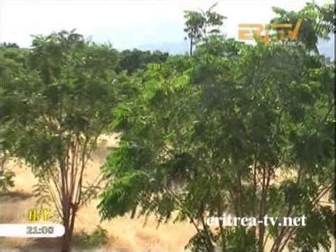 Eritrean News Hagaz Nitfetat Megrab ሓጋዝ ንጥፈታት ምግራብ by EriTV YouTube