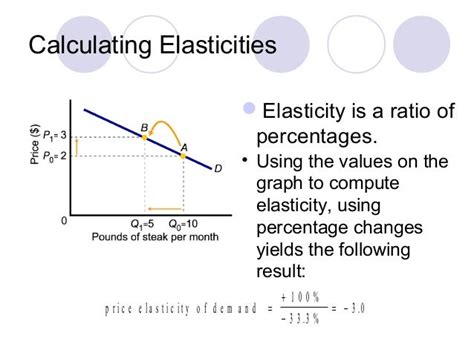 Elasticity Micro Economics Eco101
