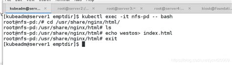 K8s之 Volumes配置管理（emptydir、hostpath、nfs方式挂载卷）hostpath挂载目录不能插入log Csdn博客