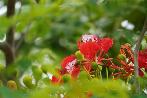 The Best Plants To Grow In Zone B To F To C