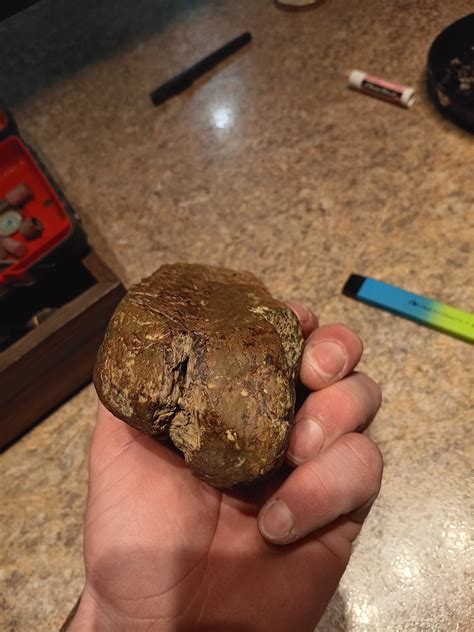 Psuedofossil Insight Rocks And Minerals The Fossil Forum