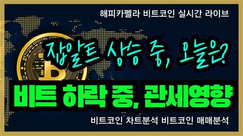 비트코인 실시간 비트 하락 중 관세영향 잡알트코인 상승 중 오늘은 317 아침💎비트코인 비트코인실시간 이더리움 리플 Cryptocurrency 차트분석
