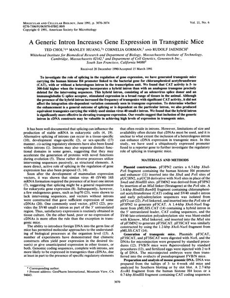 Pdf A Generic Intron Increases Gene Expression In Trangenic Mice