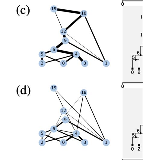 Line Widths Off In Fig D Issue Tskit Dev What Is An Arg Paper GitHub