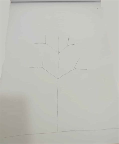 How To Draw A Tree Step By Step Practice For Beginners