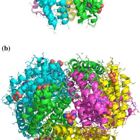 Crystal Structures Of Representative Coordination Driven Hemoprotein