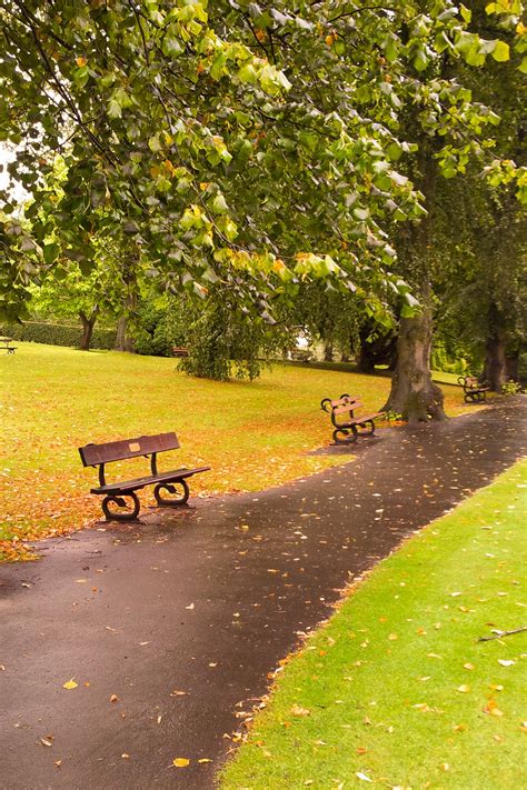 Free Images Landscape Tree Nature Grass Road Bench Lawn