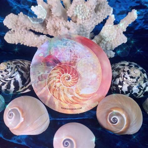 Fibonacci Spiral Stickers For Invoking The Mystical Math Of Mother Nature