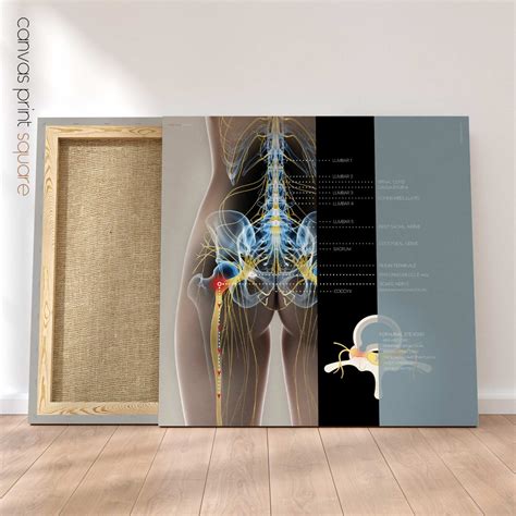 Sciatica And Stenosis Educaredesign