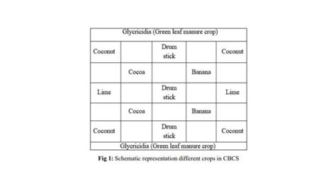 Development Of Coconut Based Cropping Systems For Sustainable