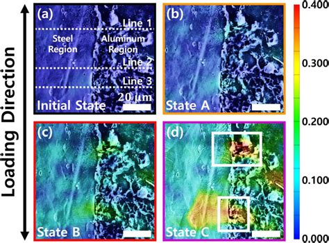 E Micro Scale Dic Images Superimposed With Von Mises Equivalent Strain Download Scientific