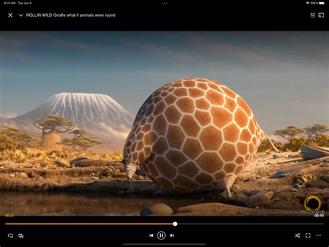 Vlc Media Player For Ios Iphoneipadapple Tvipod Touch Free