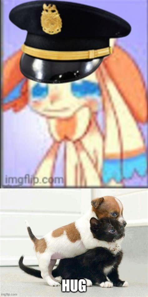 Image Tagged In Dog Hugging Cat Imgflip
