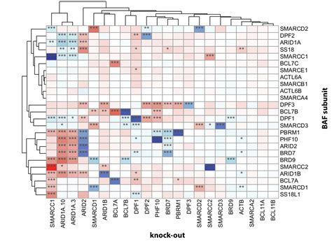 Systematic Characterization Of Baf Mutations Explains Intra Complex