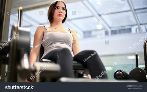 Gym Seated Leg Curl Machine Exercise Stock Photo Shutterstock