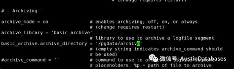 Postgresql Pg15关于归档的新模式 Csdn博客