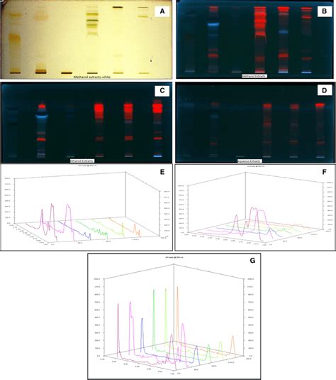 A A Developed Tlc Plate Spotted With Methanolic Extracts Of Samples Download Scientific Diagram