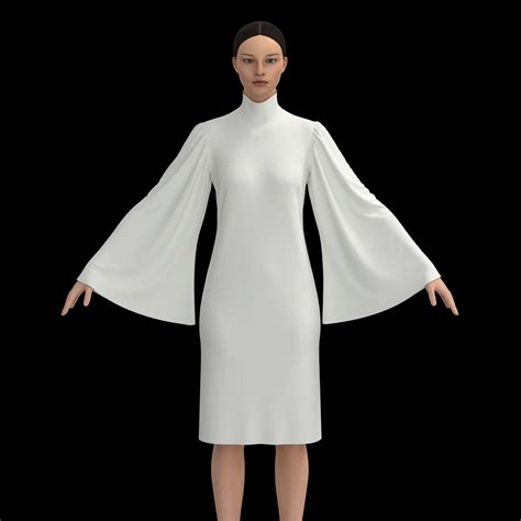 Ginger 3d Model Connect