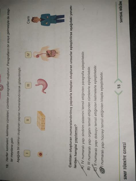 Bunun cevabını verebilir misiniz Eodev