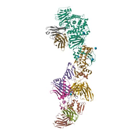 Rcsb Pdb 7t4q Cryoem Structure Of The Hcmv Pentamer Ghglul128