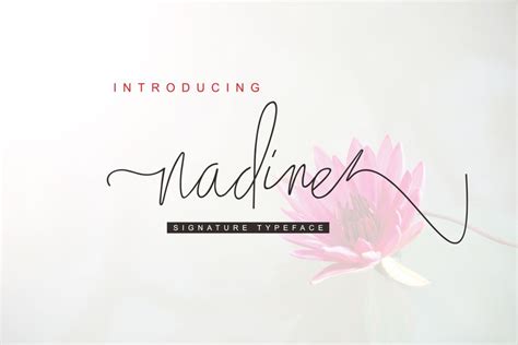 Nadine Monoline Font Deeezy