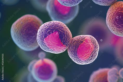 Neisseria Gonorrhoeae Bacterium Macro Photography Gonorrhoea Is A