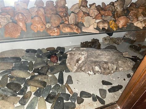 Dinosaur Teeth Rfossilporn