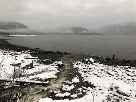 Volunteers Search Through Shoreline Debris Clean Up Garbage From Landslide