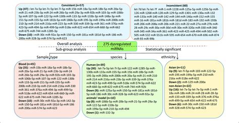 The Flow Diagram Of Mirna Categories In This Systematic Review Mir