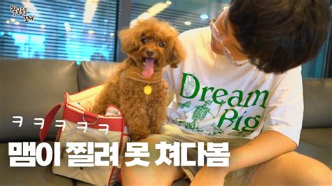 다른 오빠한테 한눈 팔다가 된통 당한 강아지 ㅋㅋㅋㅋ Youtube