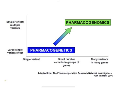 Drug Individualization Flashcards Quizlet