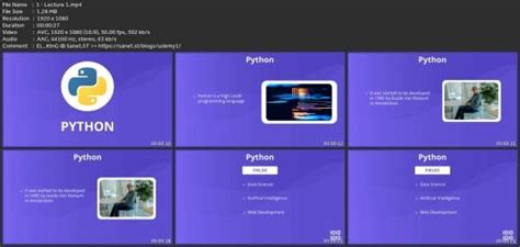 Python Python Programming Language Course Without Coding Softarchive