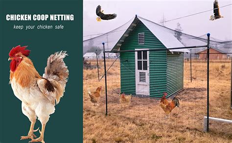 Bird Netting For Chicken Coop 50x50ft Poultry Netting