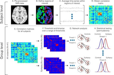 A Schematic Overview Of The Functional Connectivity Steps Download Scientific Diagram