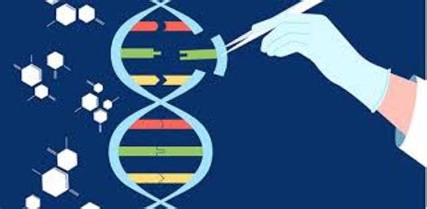 Bioteknologi Dan Pengeditan Gen 2025 Media Edukasi Informatif Dan