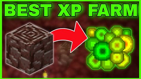 Most FASTEST Netherite XP Farm Glitch In Minecraft Bedrock 1 19 4