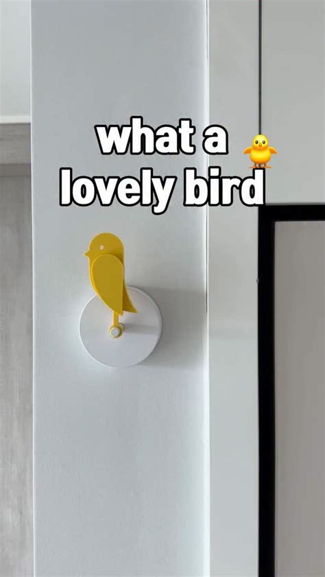 바이 미룸 살림팁 And 정리팁 1년 전 내돈내산 버디~🐥 이제 할인코드 적용되어 10 할인적용 받아 구매하실수 있어요~😌🙌 As 안되는 해외직구 아닌 공식