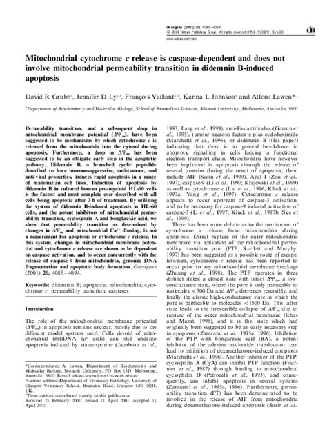 Pdf Mitochondrial Cytochrome C Release Is Caspase Dependent And Does