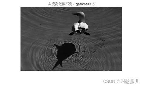 图像的常用灰度变换——负片、伽马变换、对数变换、直方图均衡化、自适应灰度变换及其matlab实现对一幅图像进行灰度变化实现负片效果显示并