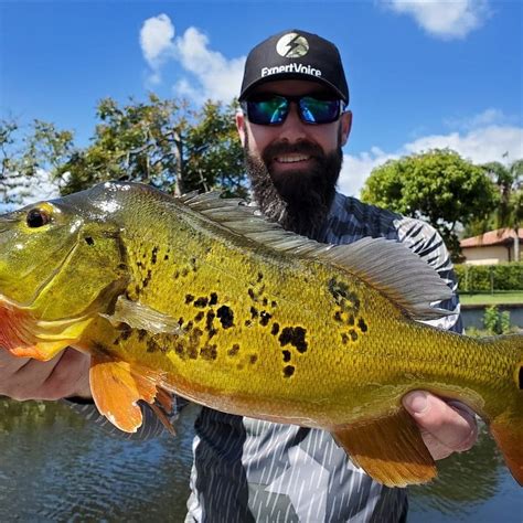 All Day Peacock Bass Fishing Trip Outguided
