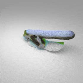 Nu Mcc Multiview Compressive Coding With Neighborhood Decoder And Repulsive Udf