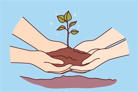 Premium Vector People Hands With Tree Sprout In Ground Metaphor For